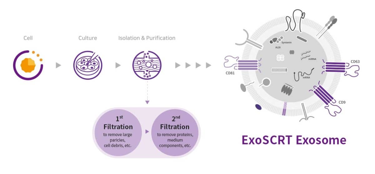 Exosome Skin Booster คืออะไร ? อัปเดตเทรนด์ทำหน้าใส งานผิวล่าสุด 2026