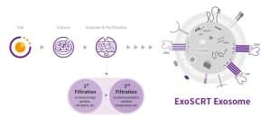 Exosome Skin Booster คืออะไร ? อัปเดตเทรนด์ทำหน้าใส งานผิวล่าสุด 2025